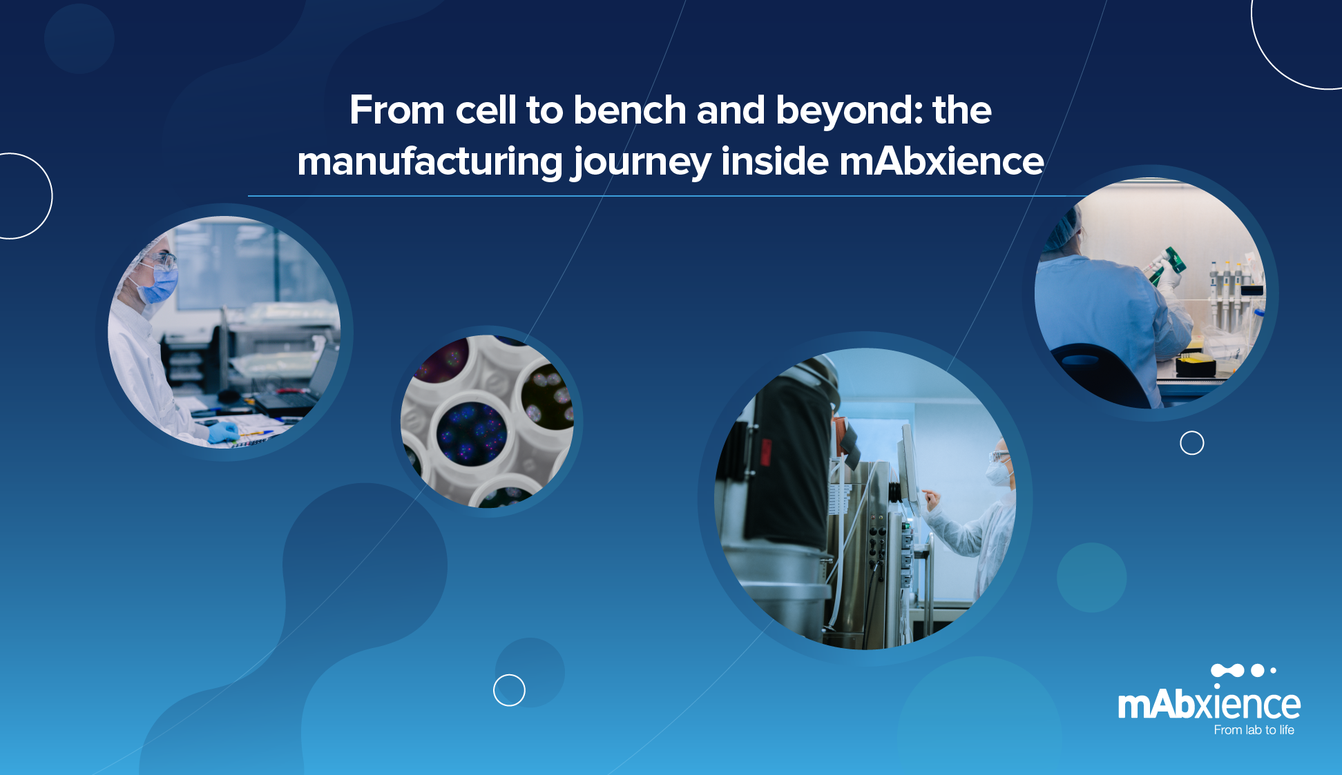 From cell to bench and beyond: the manufacturing journey inside mAbxience - mAbxience